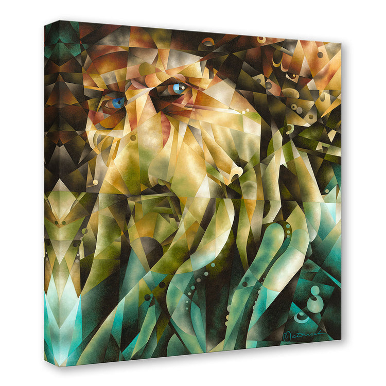 Davey Jones- Disney Limited Edition Canvas - By Tom Matousek – Disney ...
